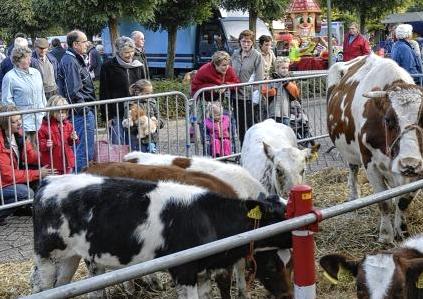 NIEUWS CultuurActies